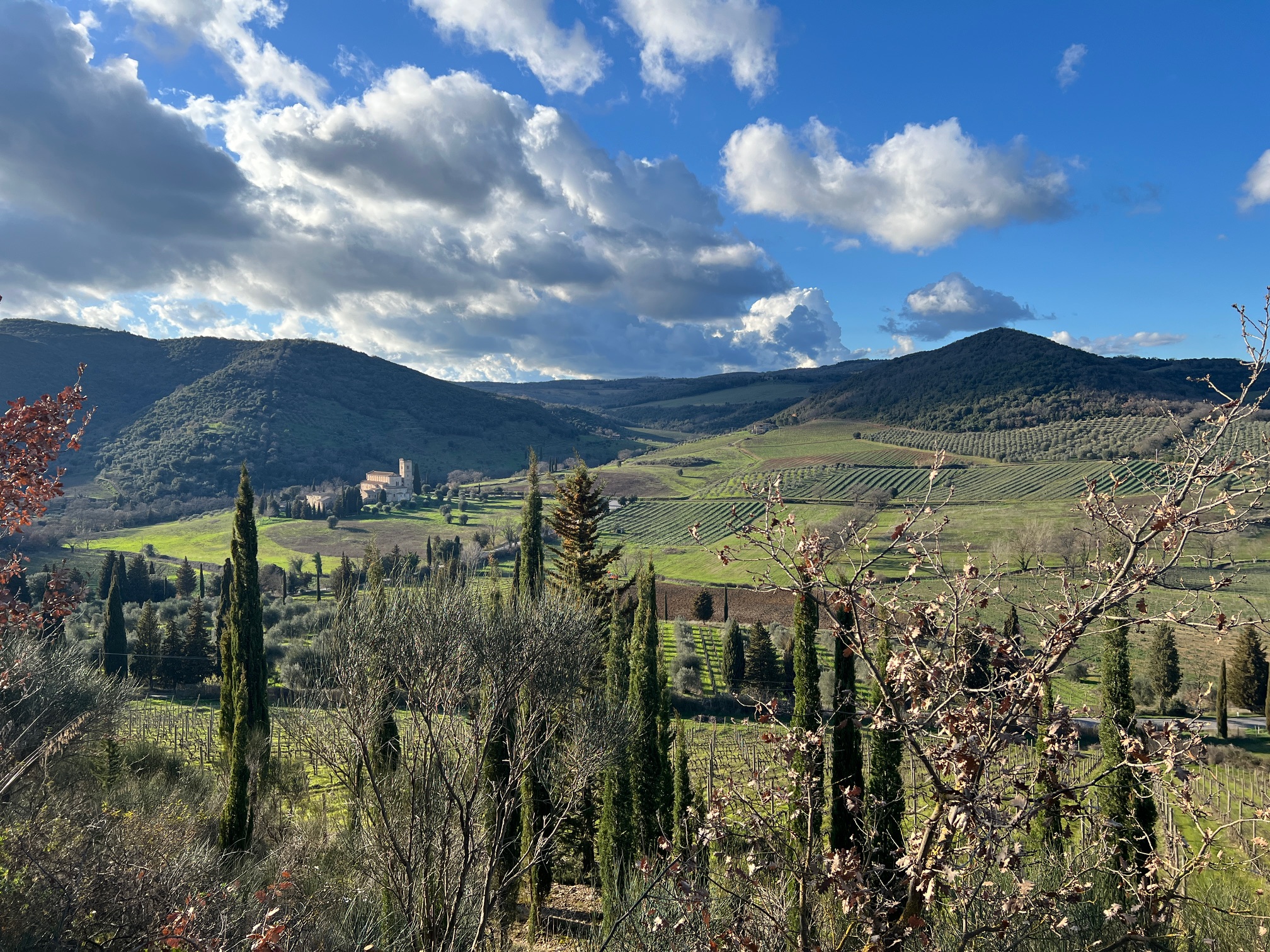 Tours by Locals Florence & Tuscany | Tailor-Made Tuscany Tours